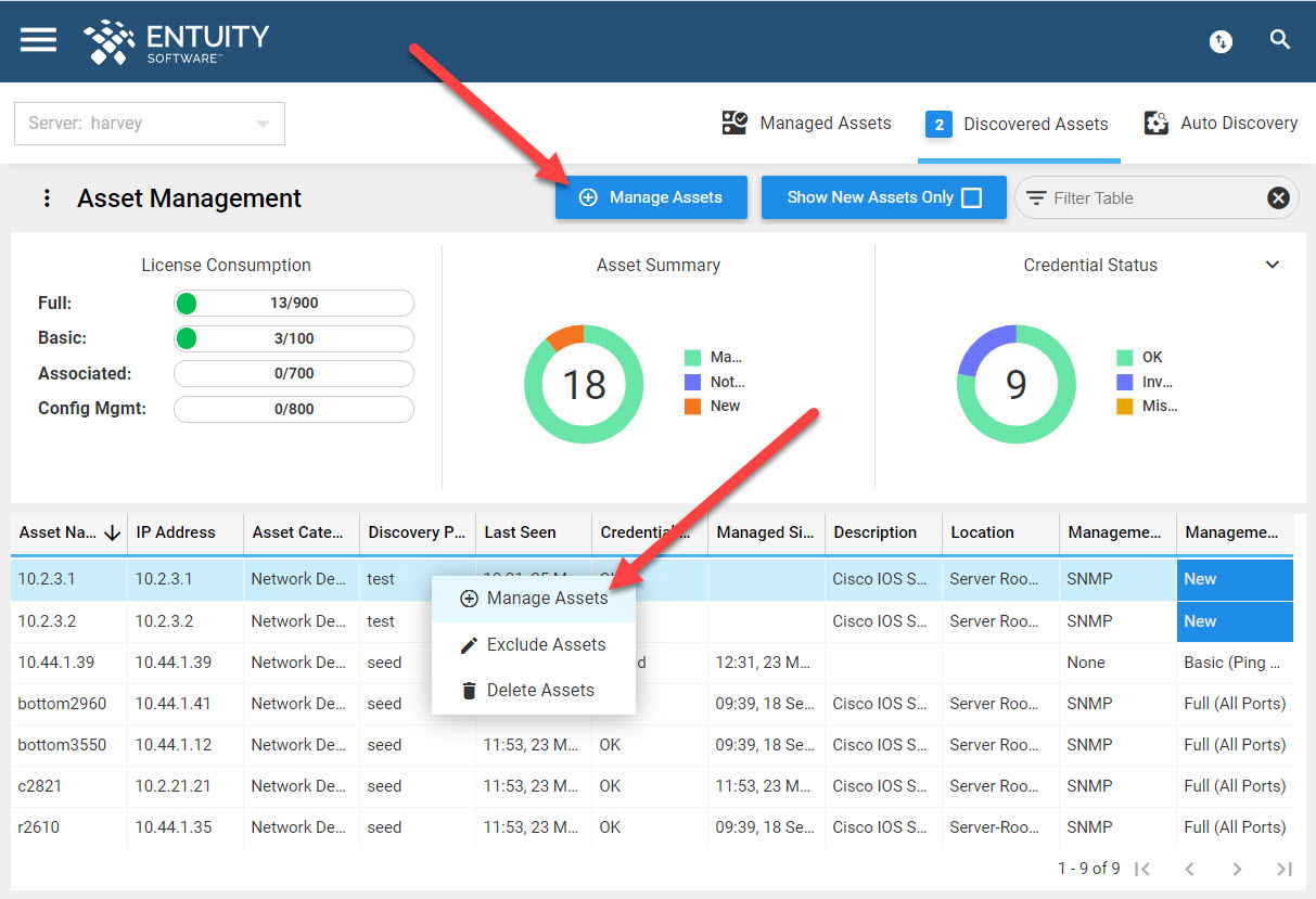 Introduction to Discovered Assets – Entuity
